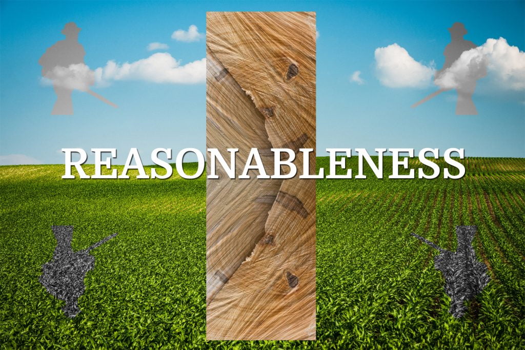 Defining REASONABLENESS - 4Boca.com