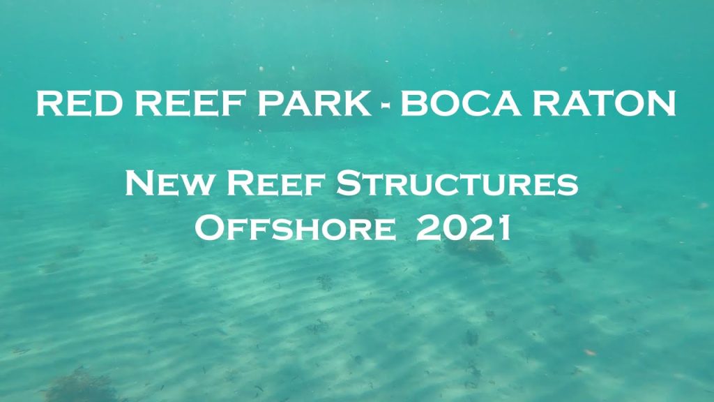 Red Reef Park's New Underwater Upgrade - 4Boca.com