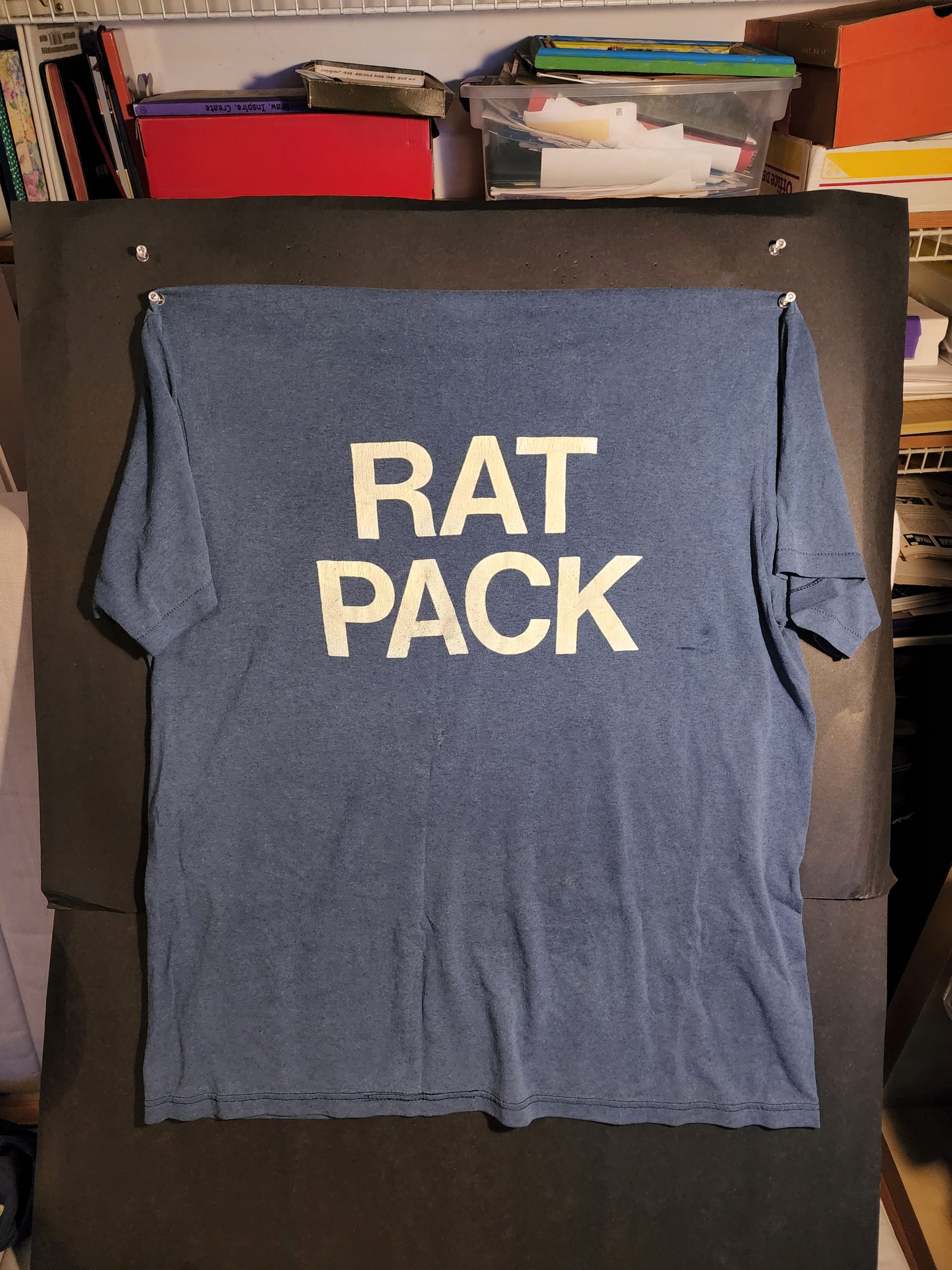 The Rat Pack Now | Sugar Sand Park : r/BocaRaton